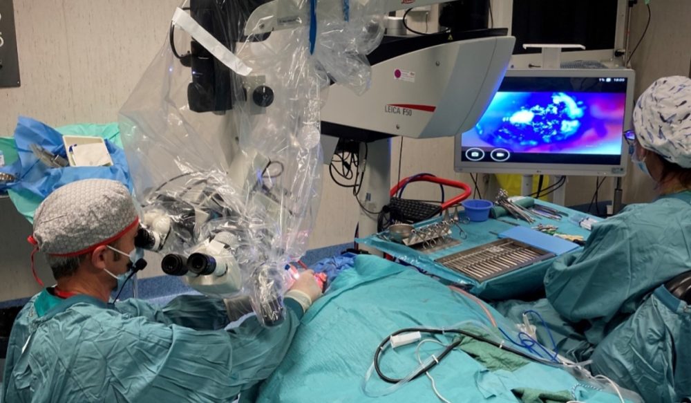 El 7è Curs d’Otologia i Base de Crani de l’Hospital Germans Trias i ...